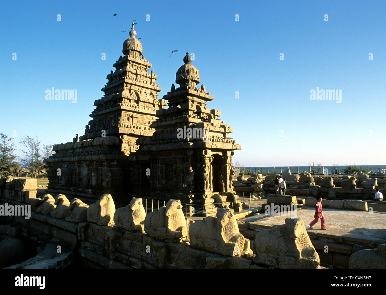Shore temple with nandi in Mahabalipuram near Chennai; Madras, Tamil ...