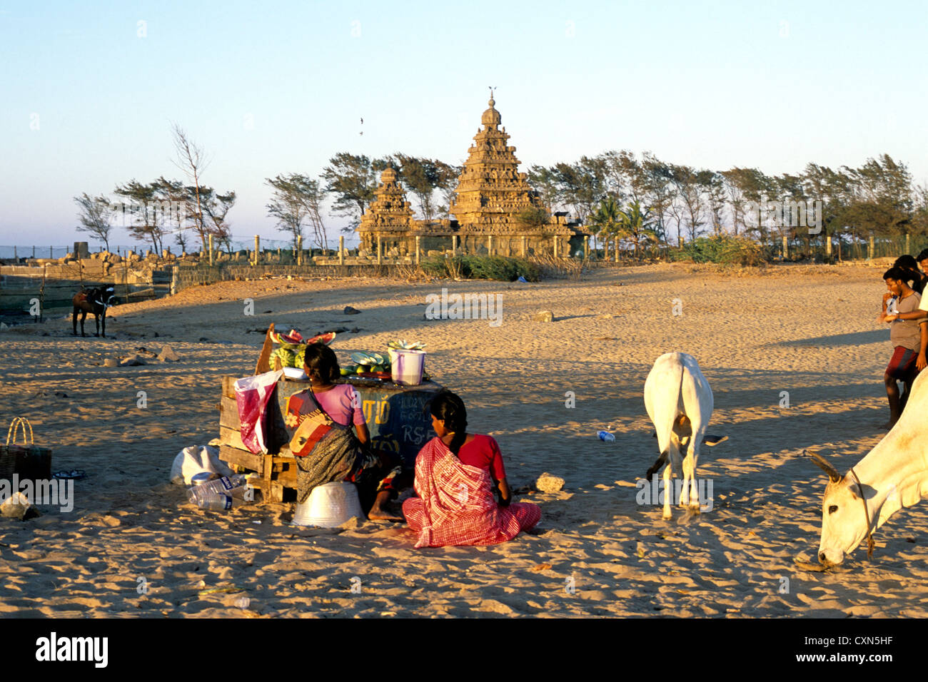 Shore temple with nandi in Mahabalipuram near Chennai; Madras, Tamil ...