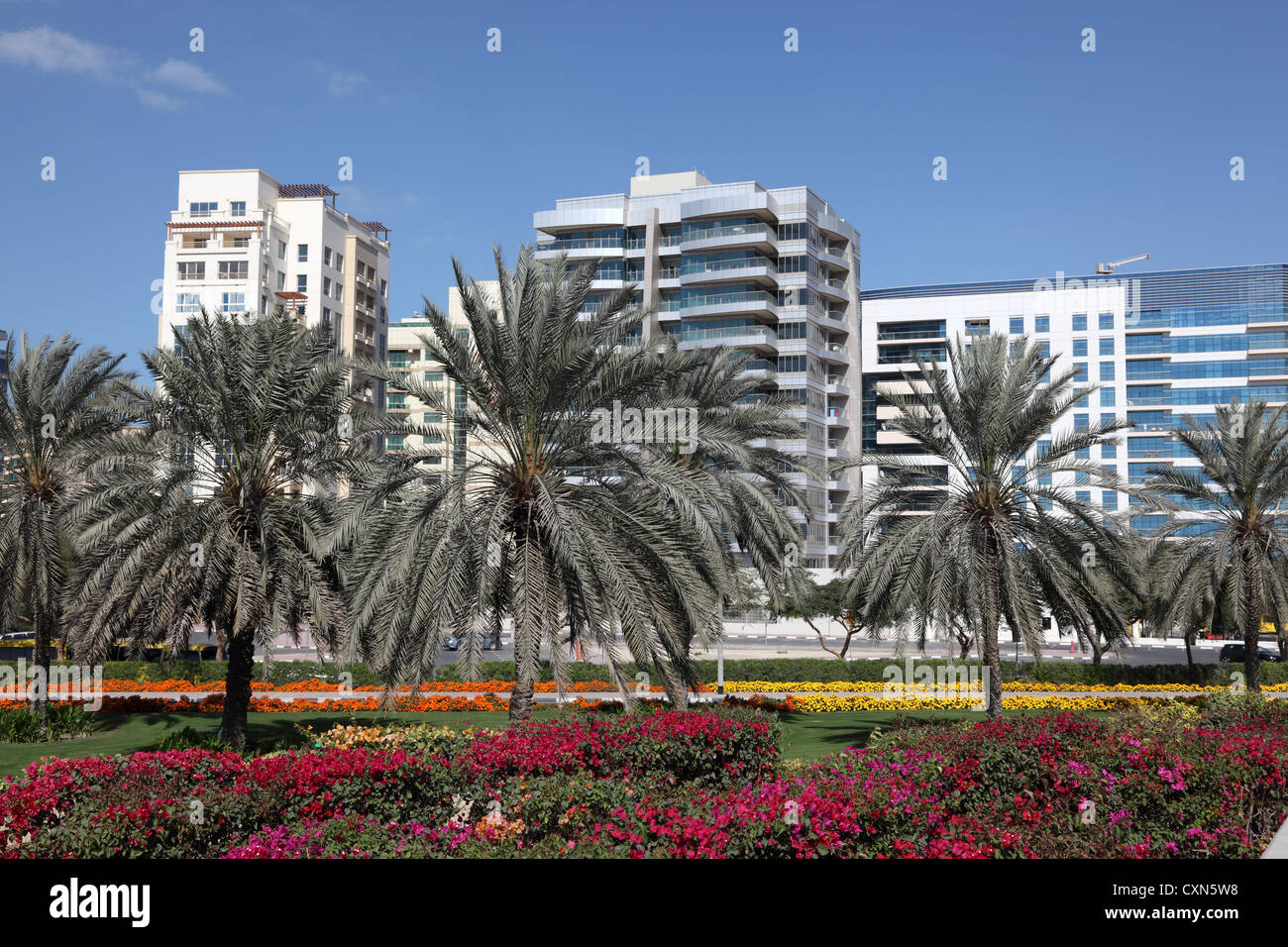 Palm trees and flowers in Dubai, United Arab Emirates Stock Photo - Alamy