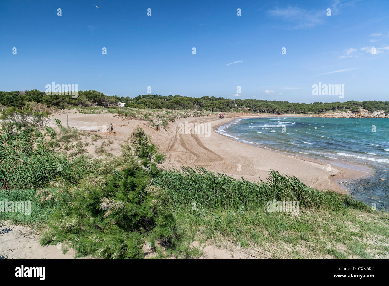 Escala hi-res stock photography and images - Alamy