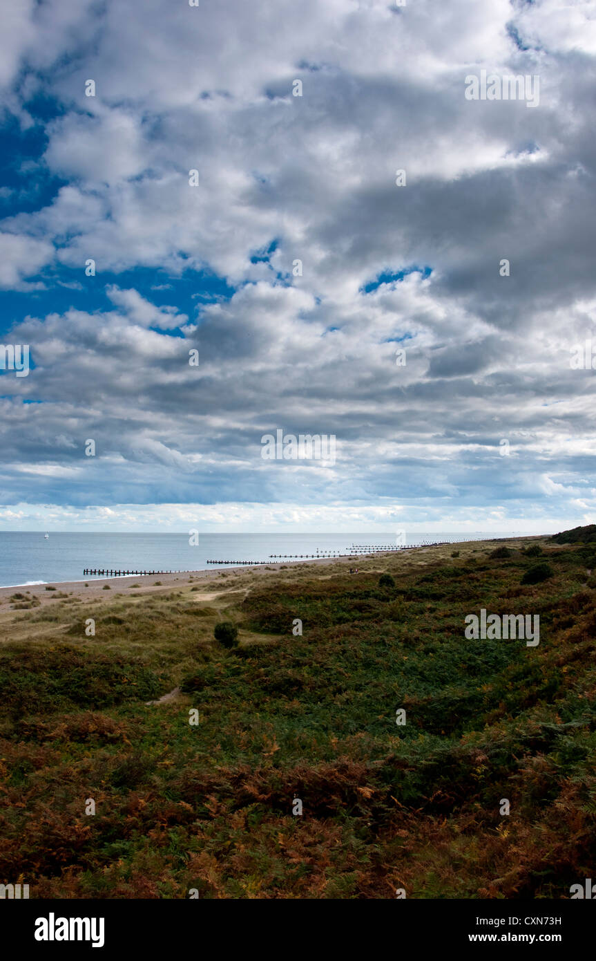 Gunton warren hi-res stock photography and images - Alamy
