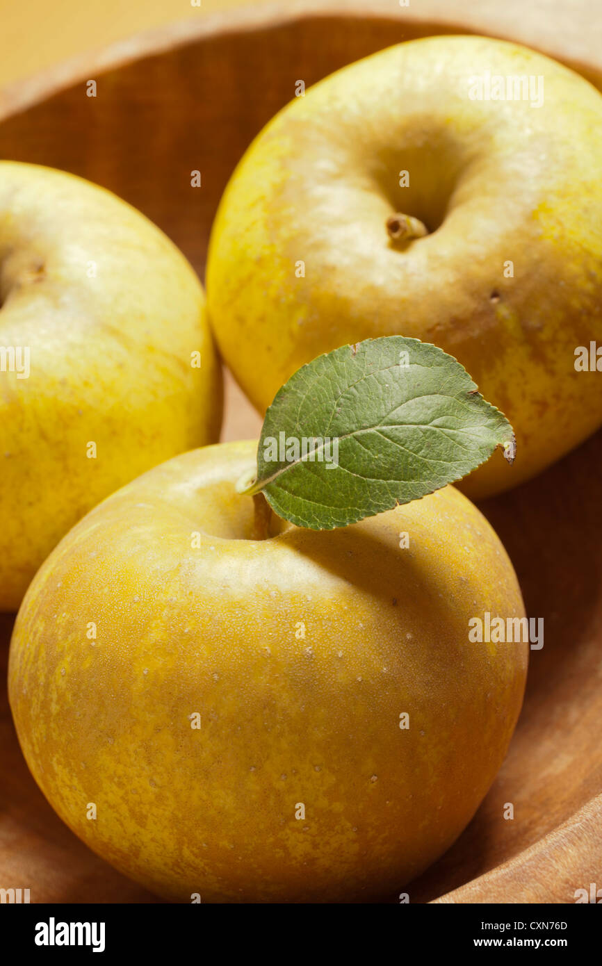 Mutsu Apple High Resolution Stock Photography and Images - Alamy
