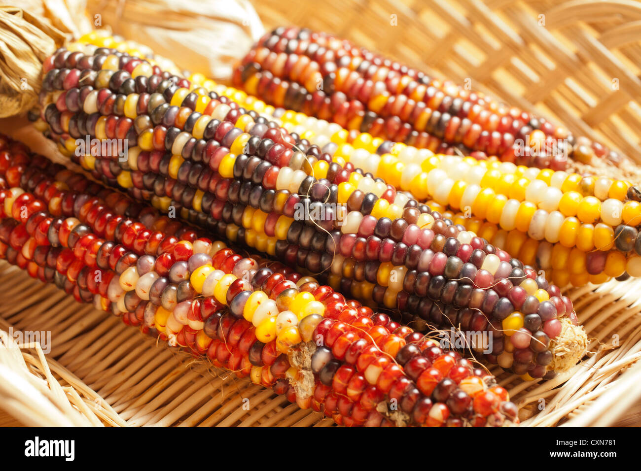 Dried Multicolor Corn, Sometimes called "Indian Corn Stock Photo - Alamy