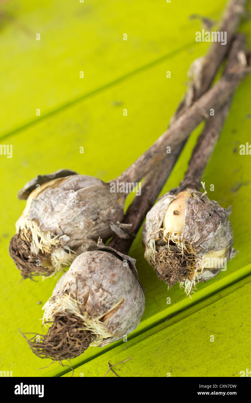 Black garlic fermented hi-res stock photography and images - Alamy