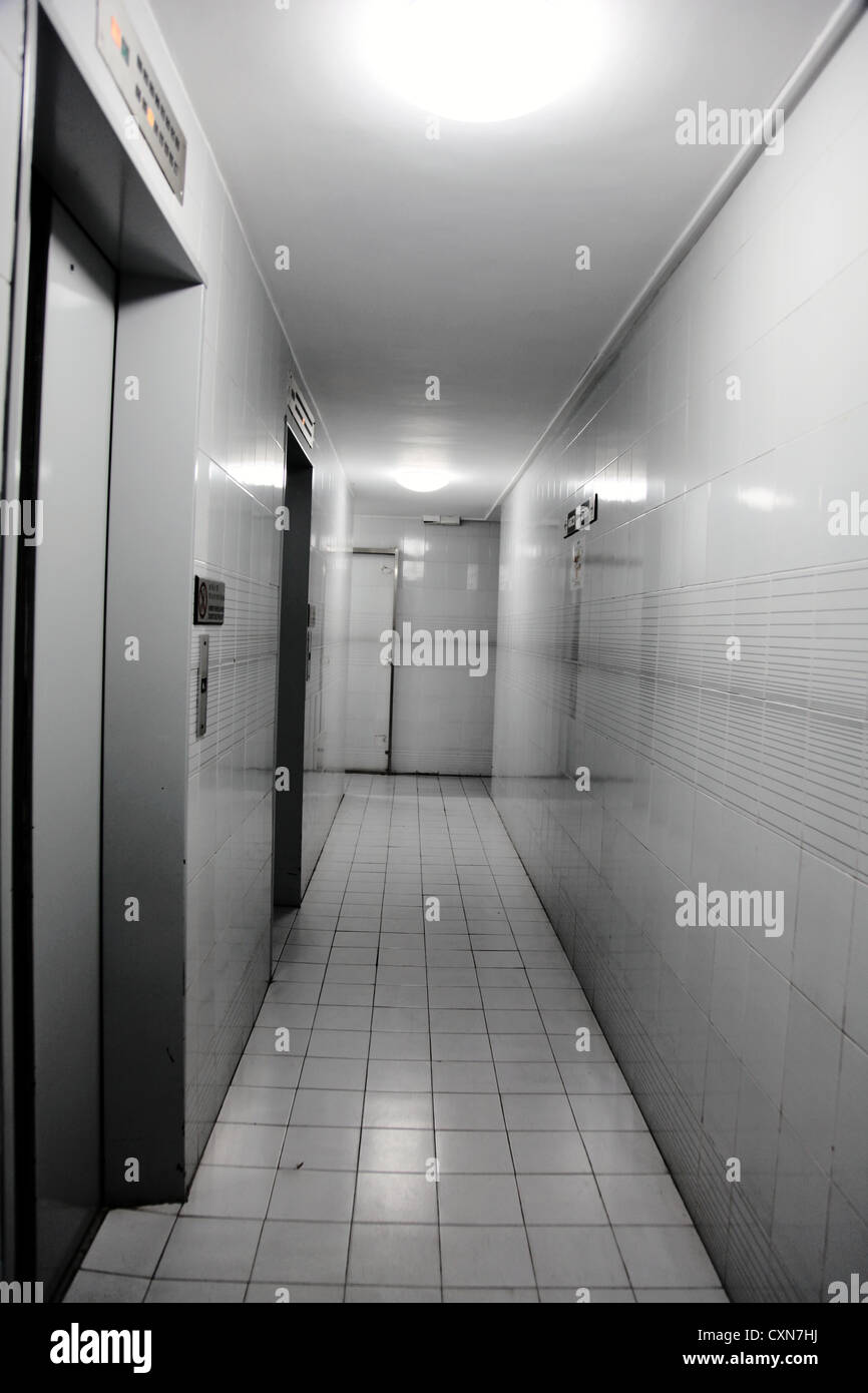 It's a photo of a corridor in front of lift or elevator. It;s with ...