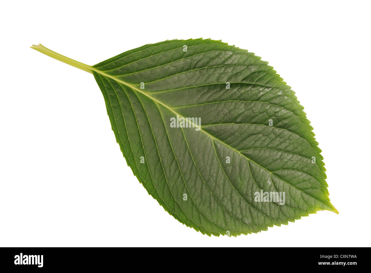 Topside hi-res stock photography and images - Alamy