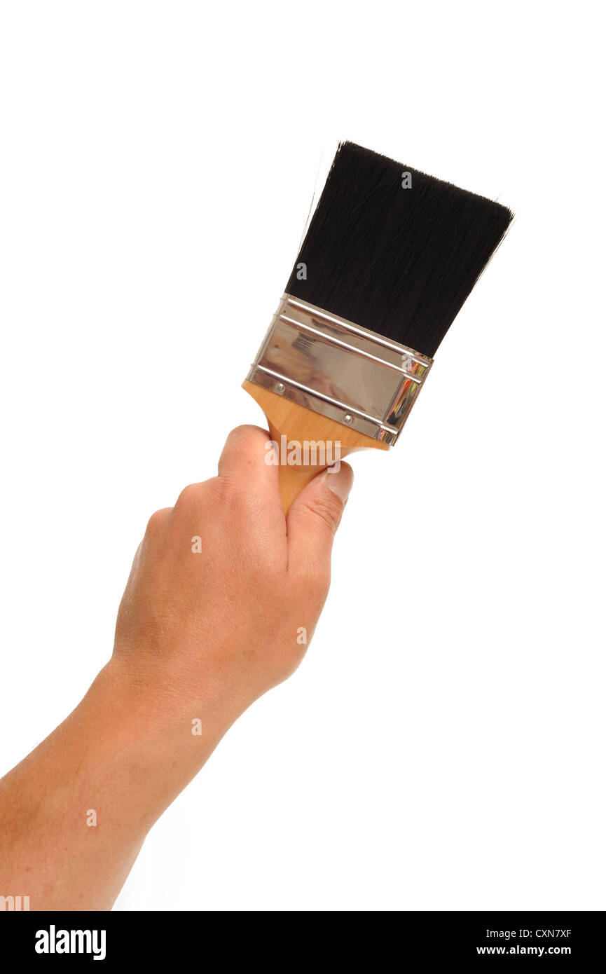 Paintbrush and hand isolated on a white background Stock Photo - Alamy