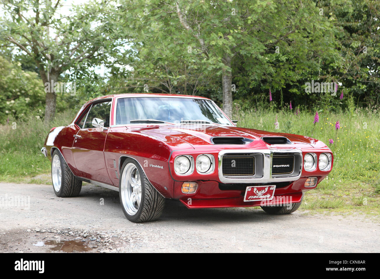 Gto Goat Galaxy Special 2011