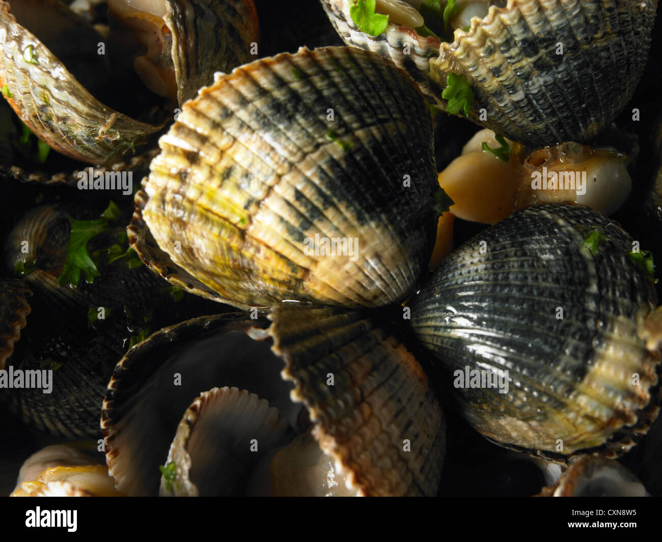 Cooked cockles hi-res stock photography and images - Alamy