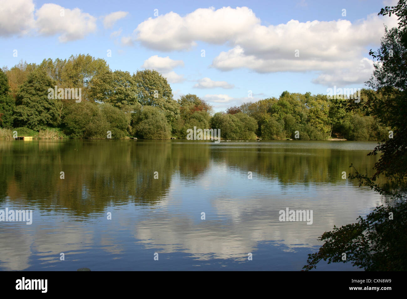 Burstwick hi-res stock photography and images - Alamy
