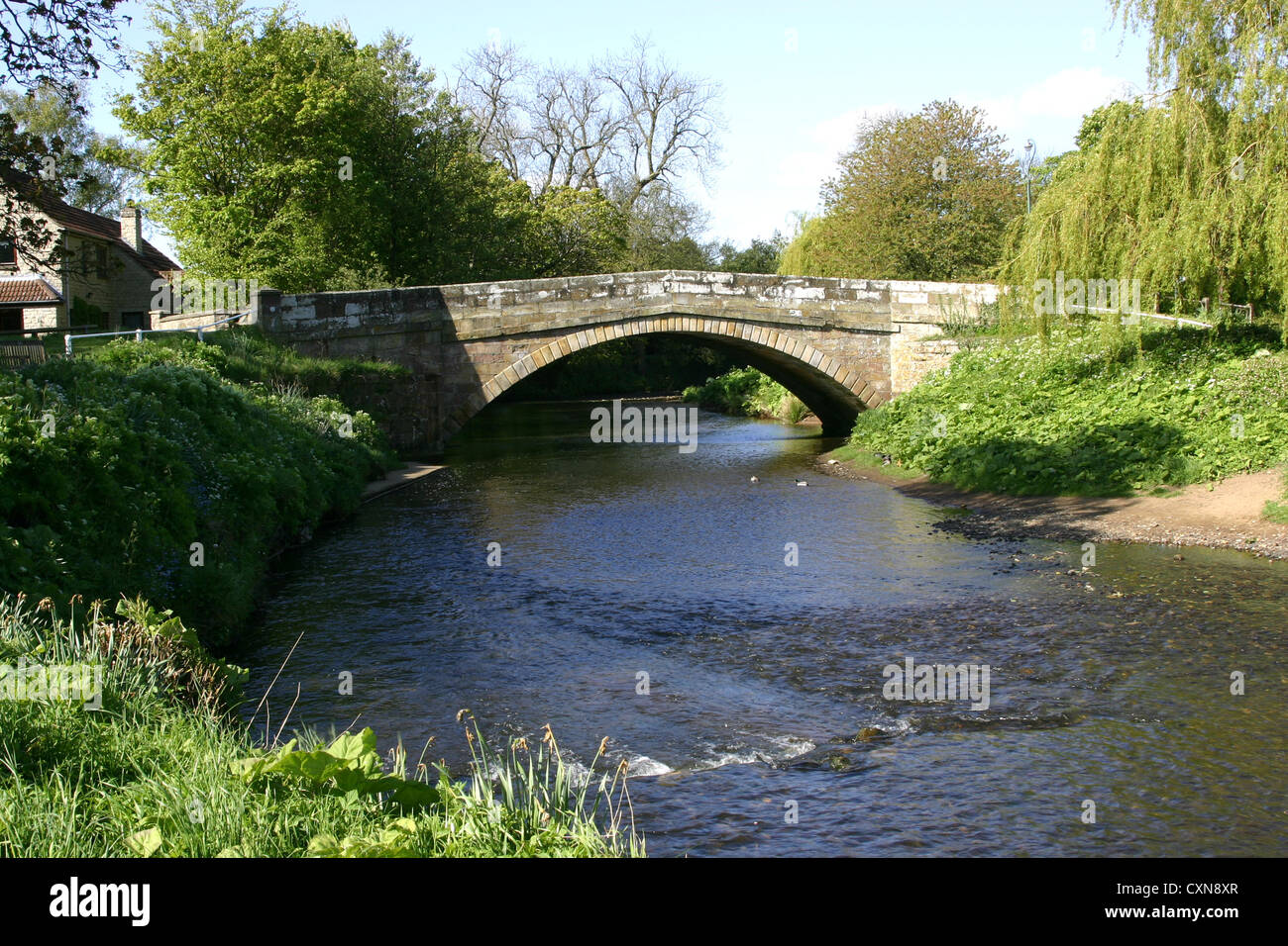 Sinnington hi-res stock photography and images - Alamy