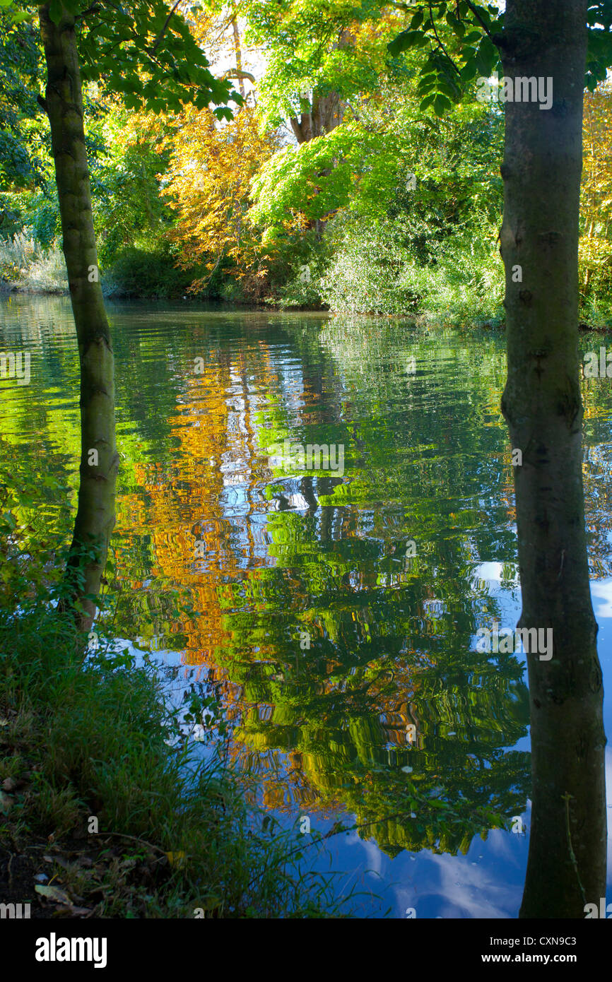 Autumnal reflections on the river Stock Photo - Alamy Autumnal reflections on the river Stock Photo - Alamy