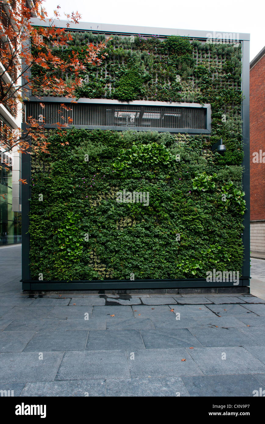 Green building wall hi-res stock photography and images - Alamy