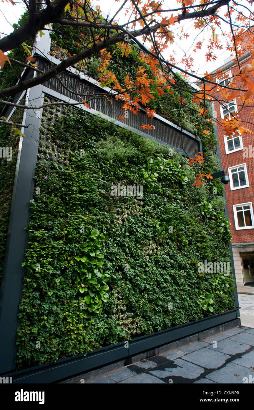 Green building wall hi-res stock photography and images - Alamy