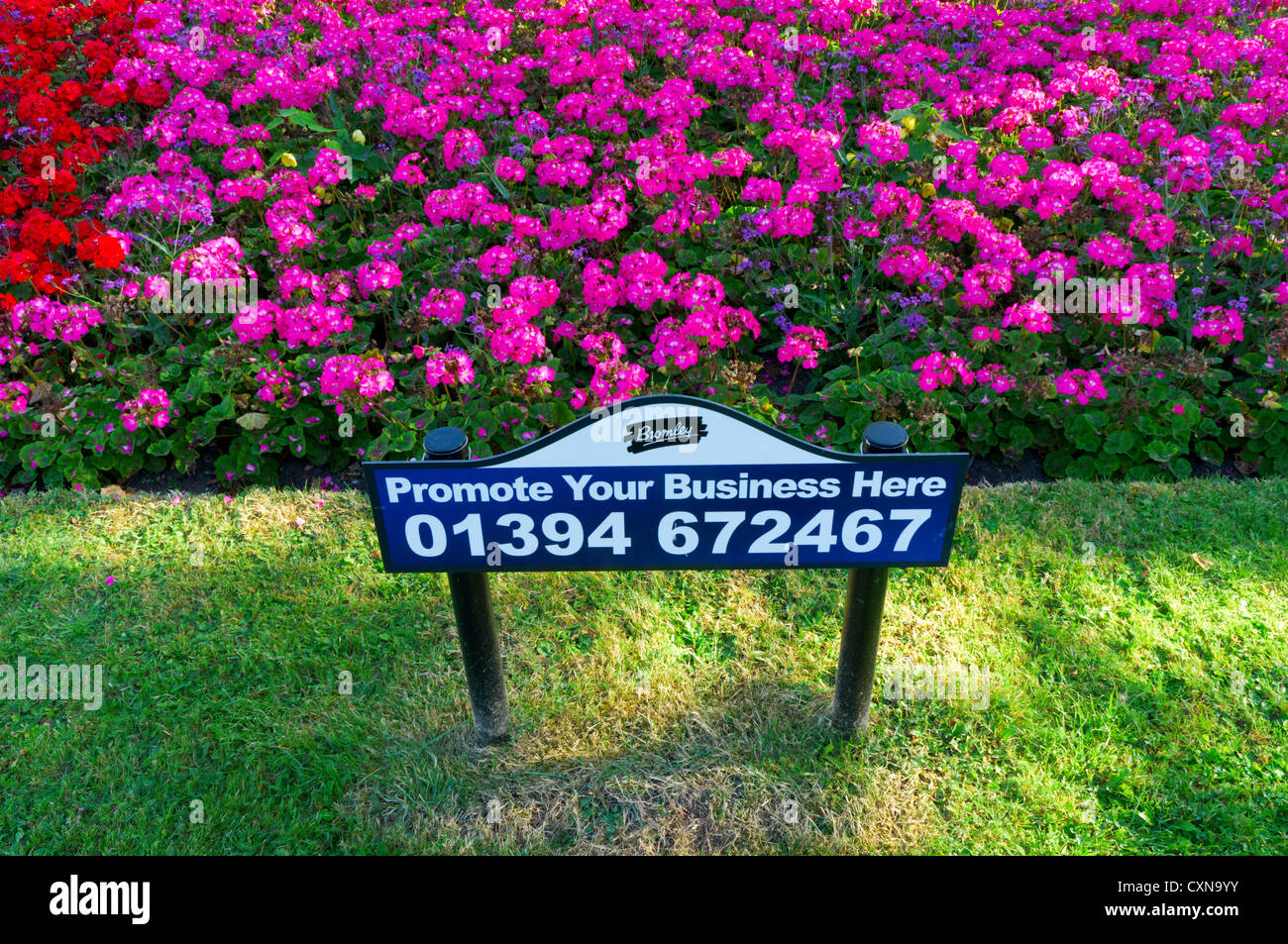 Municipal flower bed hi-res stock photography and images - Alamy