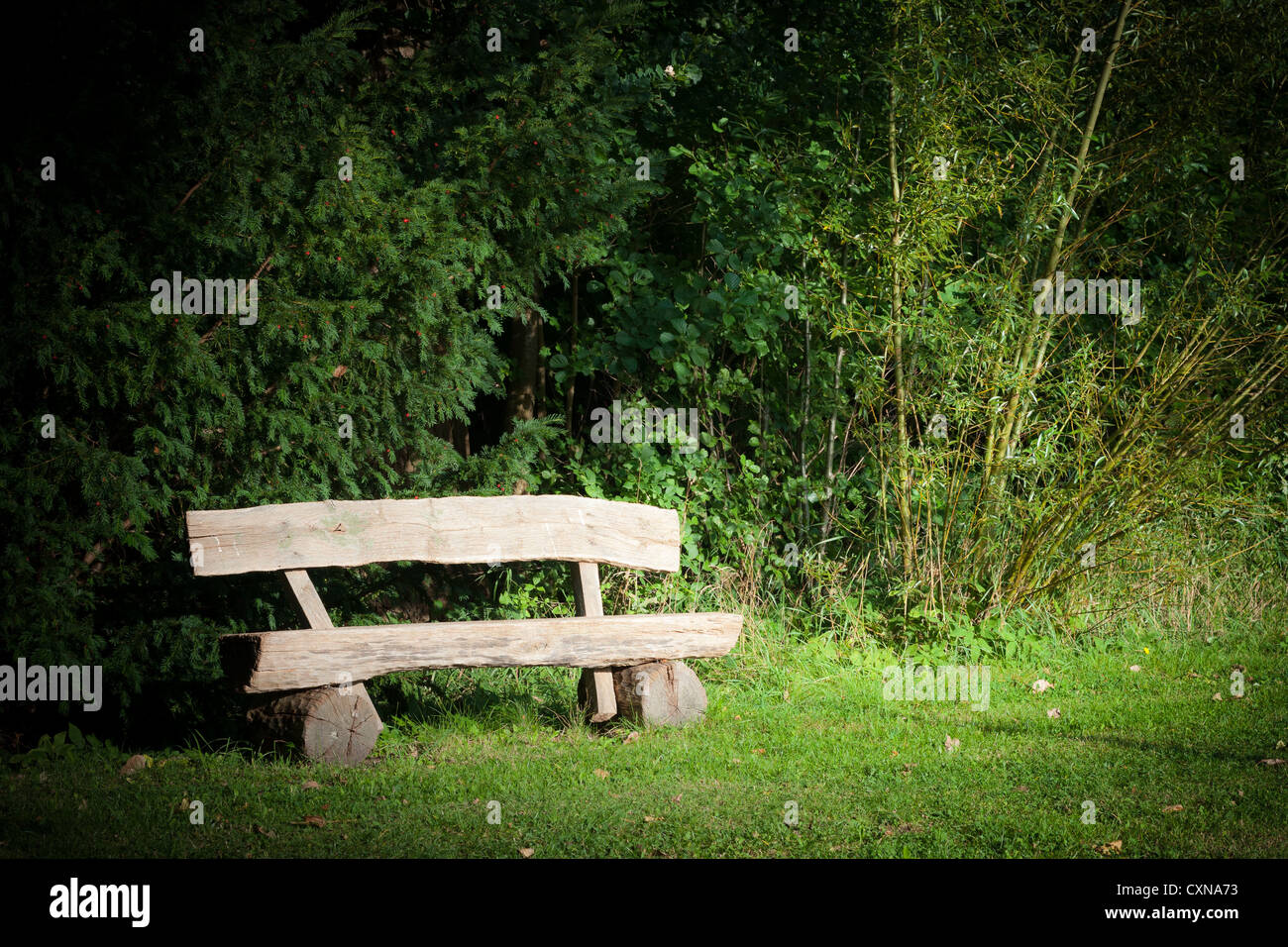 Secluded park bench hi-res stock photography and images - Alamy