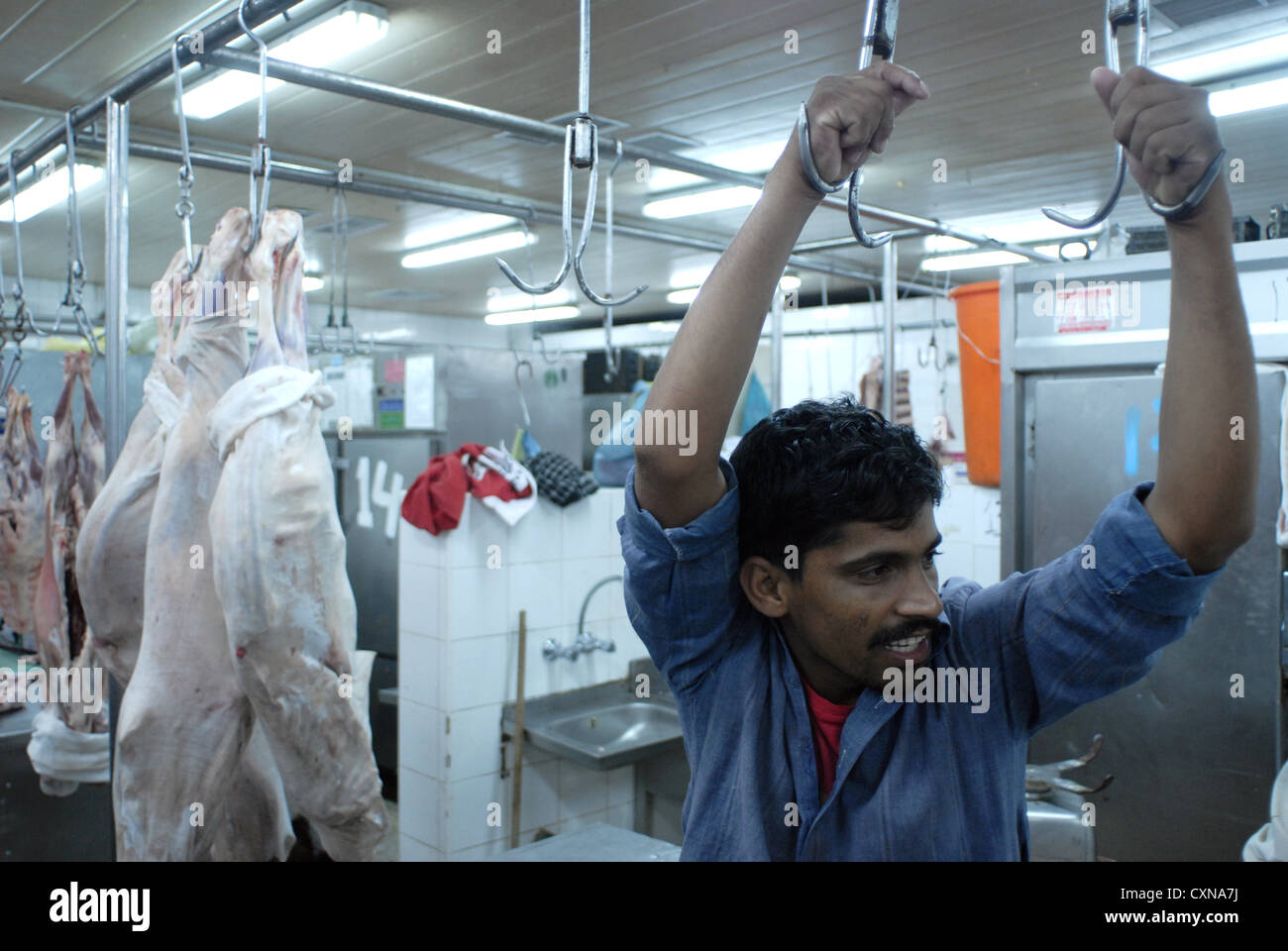 Butcher's Market in Dubai, UAE, United Arab Emirates, Persian Gulf ...