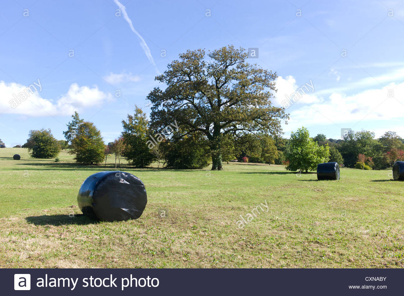 Silage Fields Stock Photos & Silage Fields Stock Images - Alamy