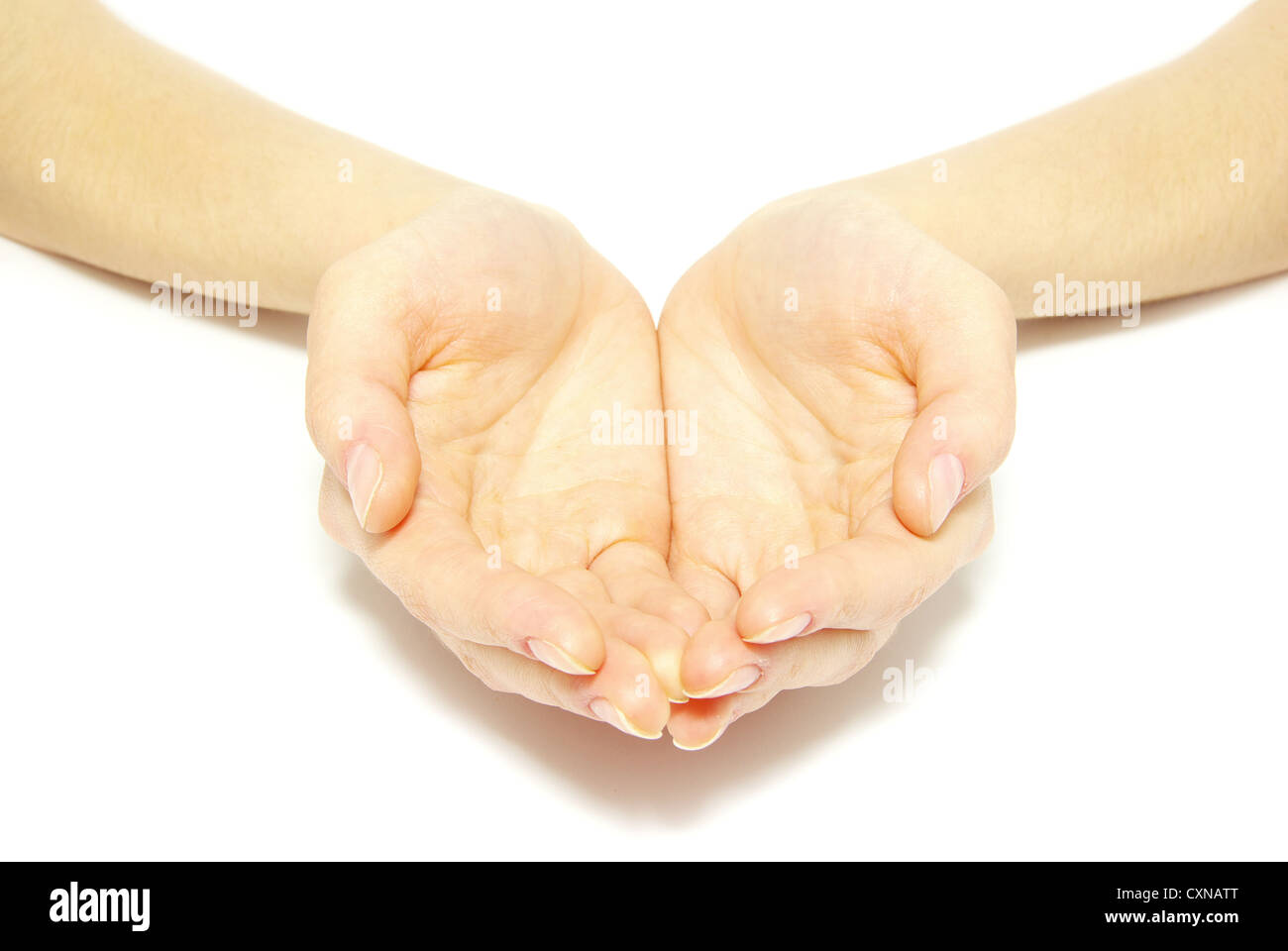 A hands begging alms on a red background Stock Photo - Alamy