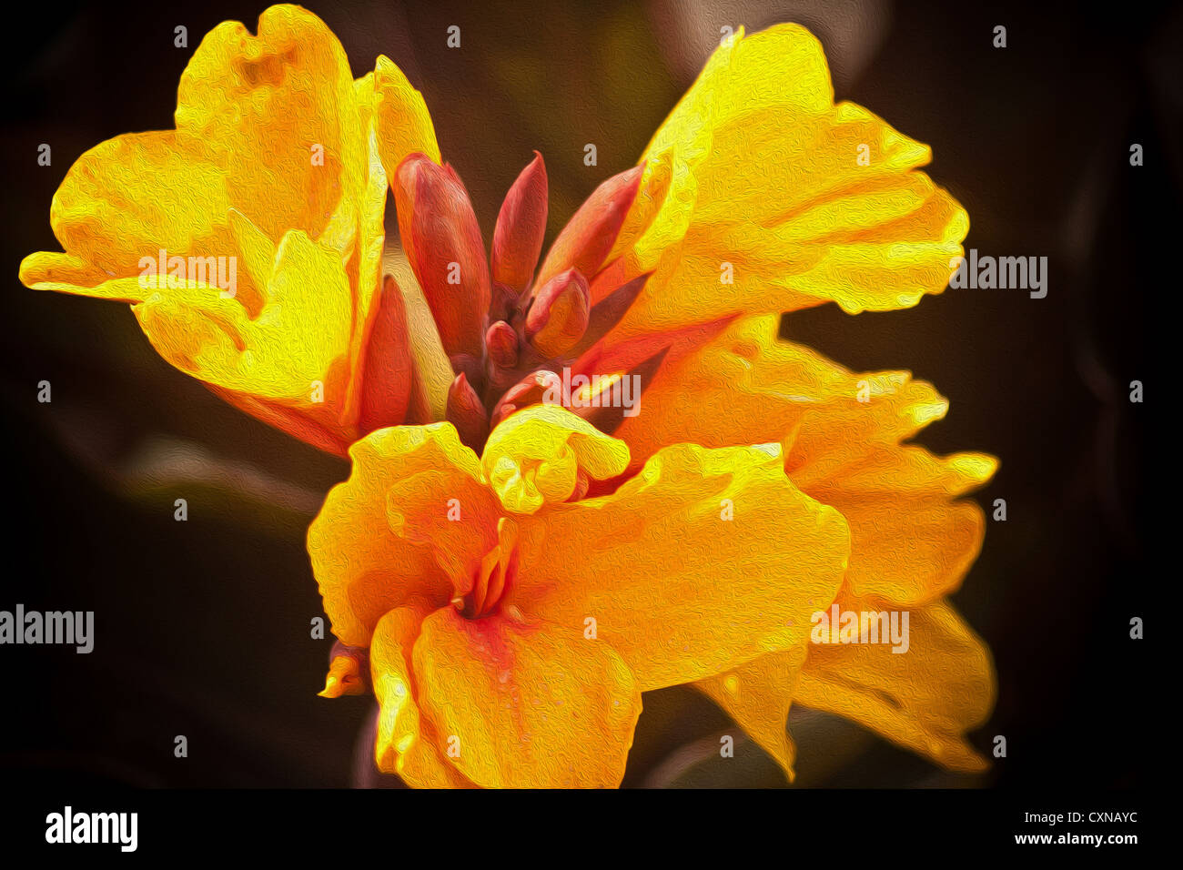 Digital art flower hi-res stock photography and images - Alamy