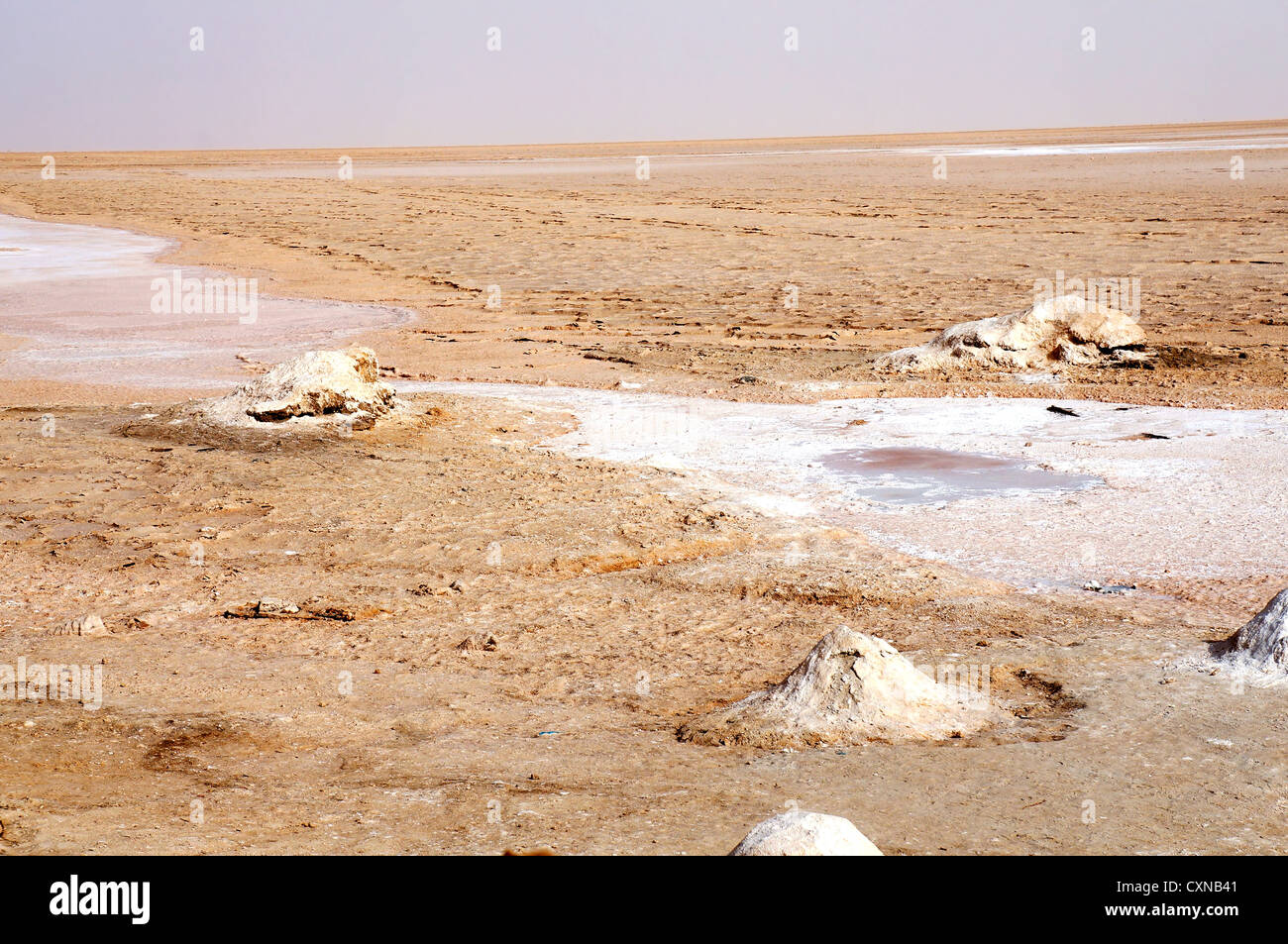 Desert scenery at the salt lake of Chott el-Jerid in Tunisia Stock ...