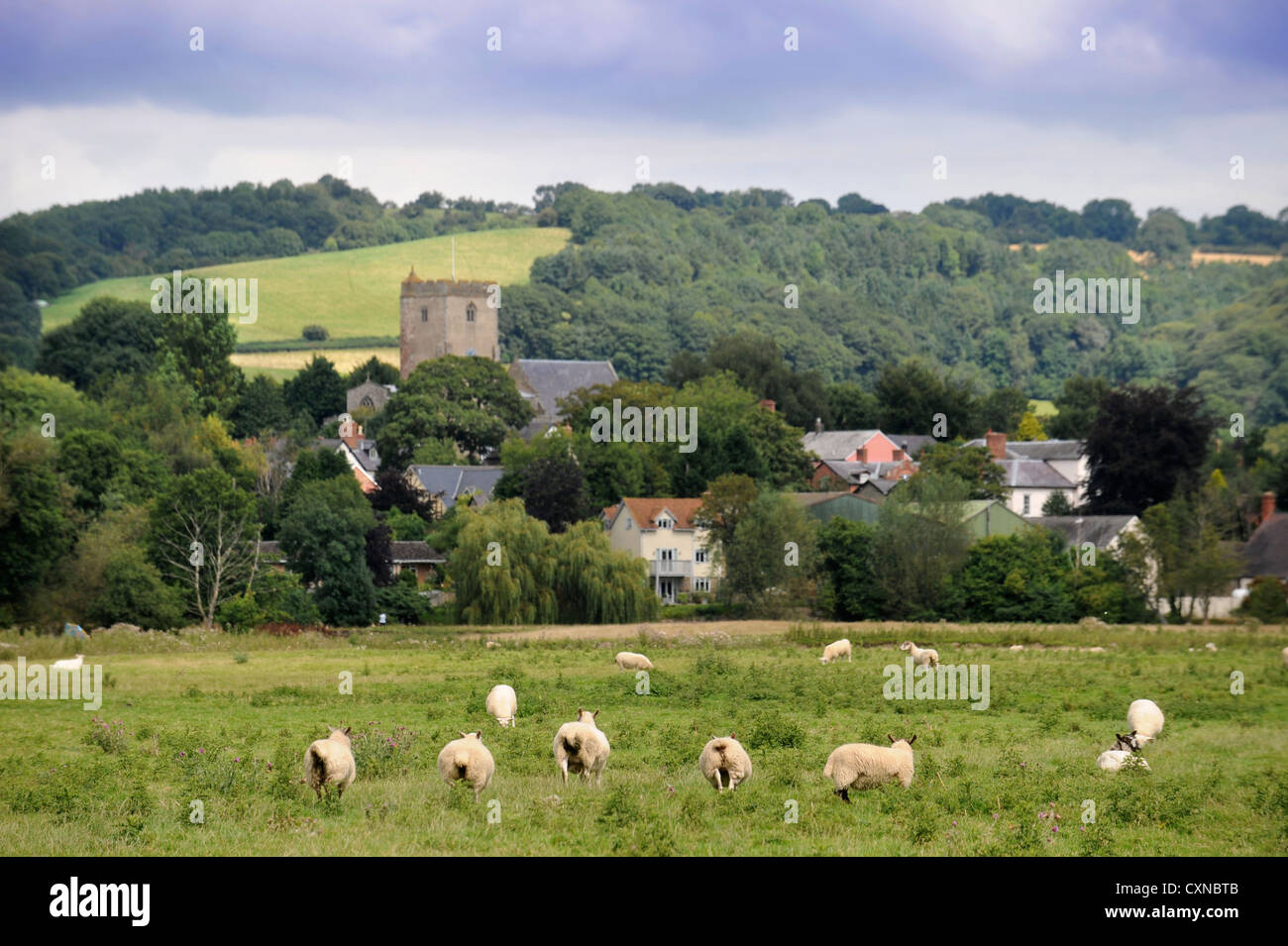 Leintwardine herefordshire hi-res stock photography and images - Alamy