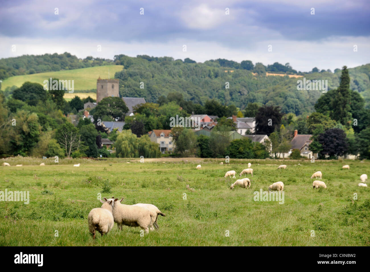 Leintwardine herefordshire hi-res stock photography and images - Alamy