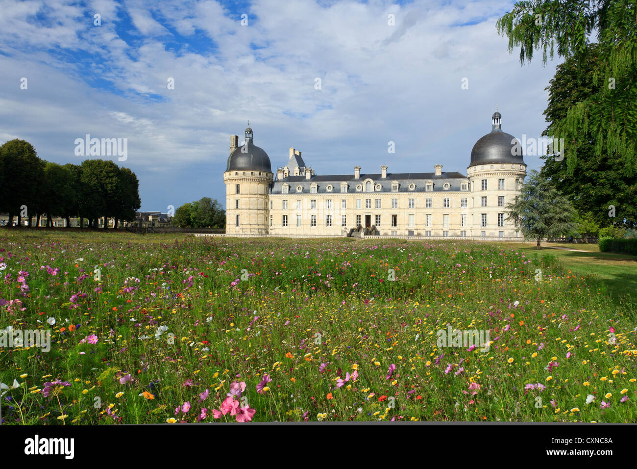France, Indre, Valençay, the castle and the flowery meadow Stock Photo ...