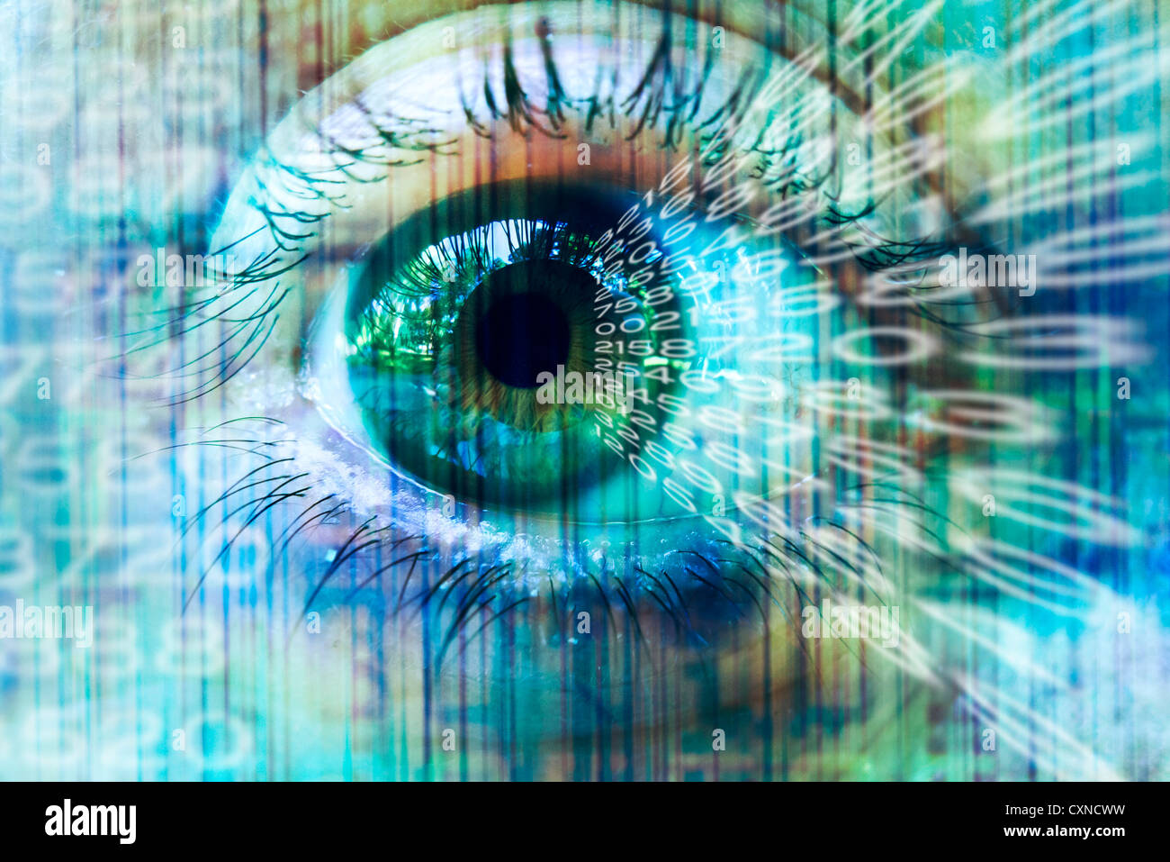 female eye with numbers flowing out of it Stock Photo - Alamy