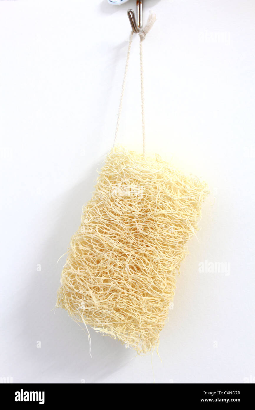 Loofah hanging on the wall Stock Photo - Alamy