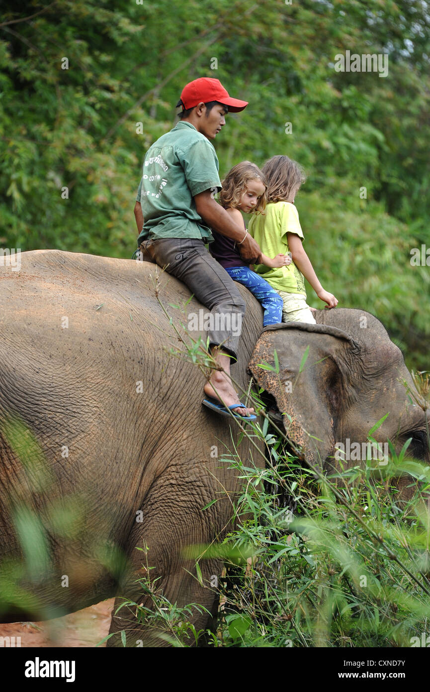 Mahout takes two children for an elephant ride in the Elephant ...