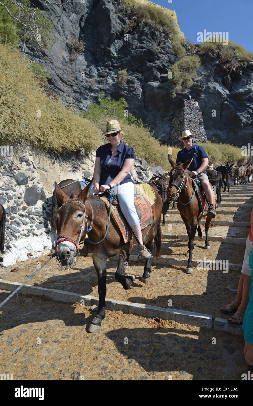 Santorini donkey rides hi-res stock photography and images - Alamy