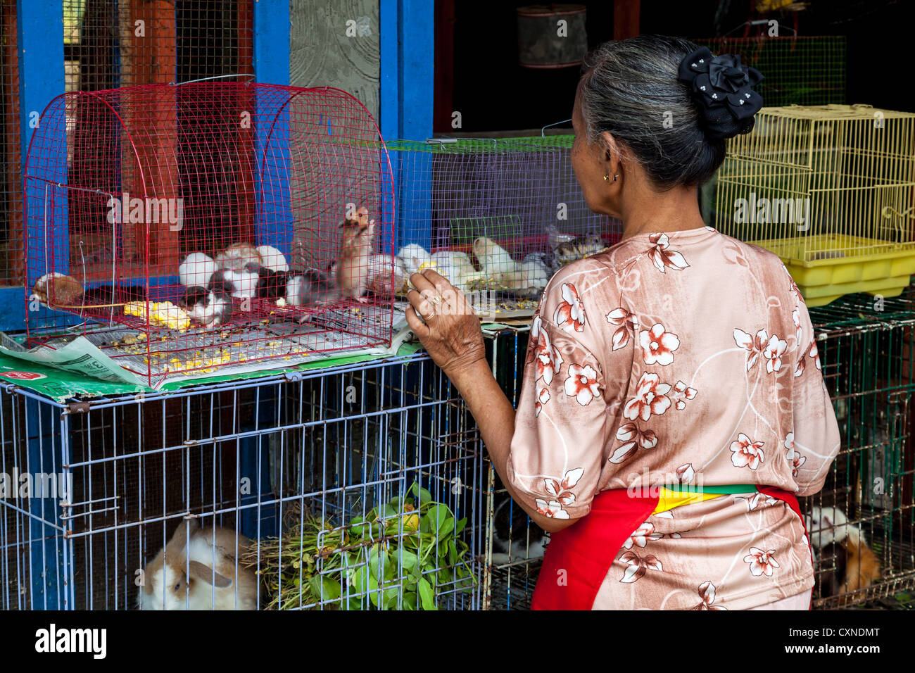 Woman in a cage hi-res stock photography and images - Alamy
