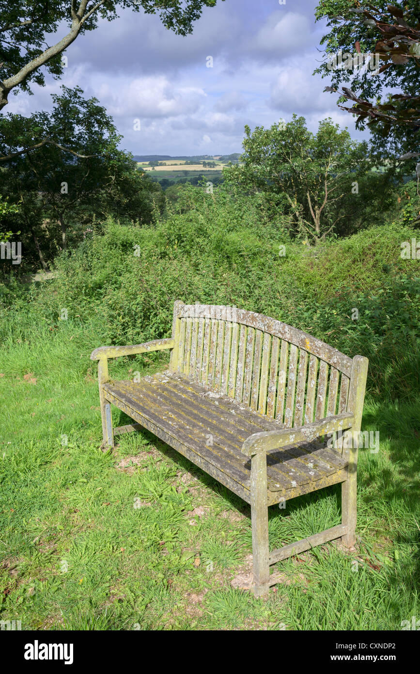a bench in a country garden Stock Photo - Alamy