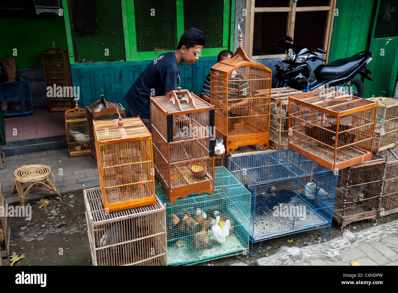Cages bird cage asia hi-res stock photography and images - Alamy