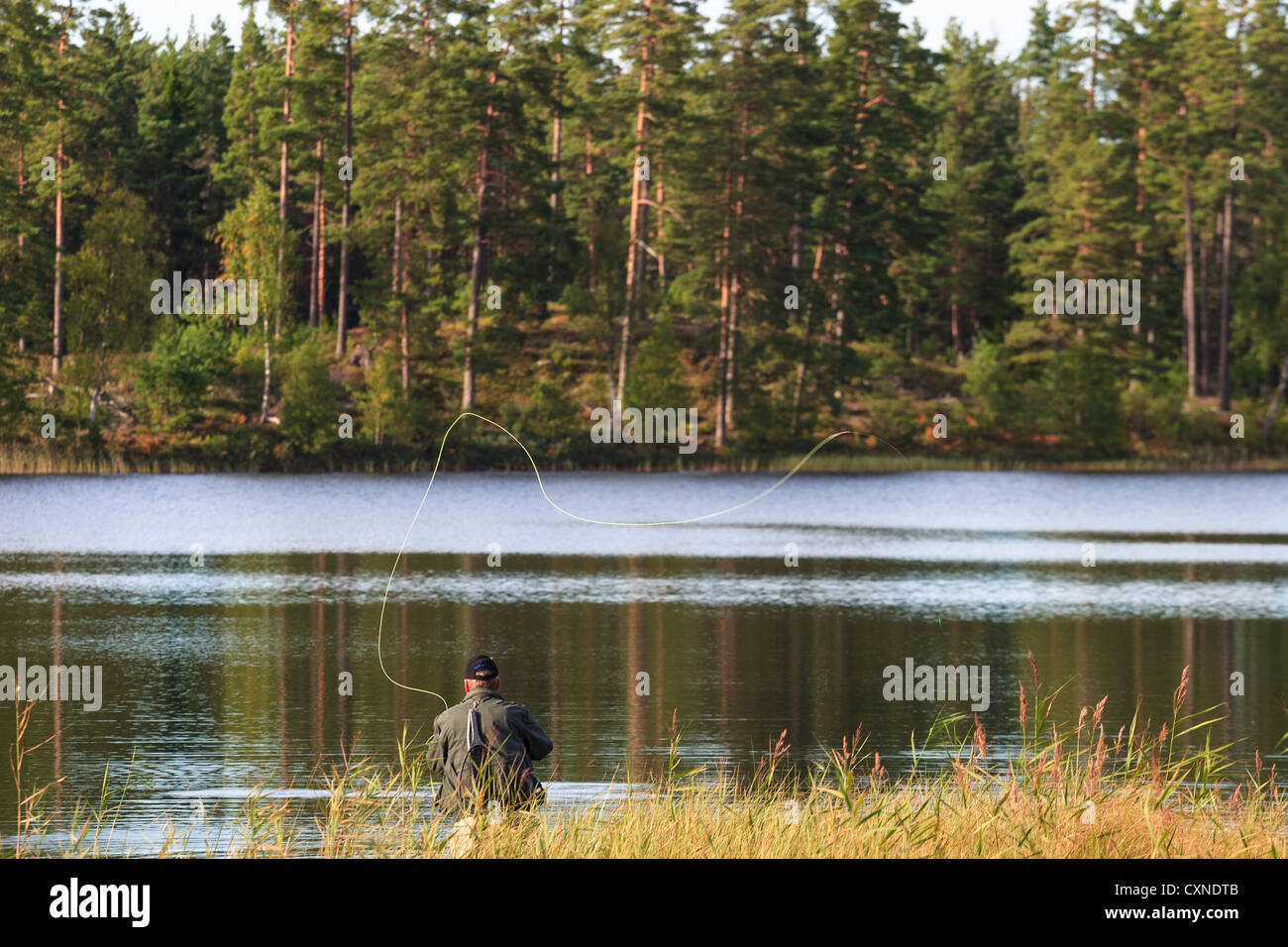 Flyfisher at a forest lake Stock Photo - Alamy