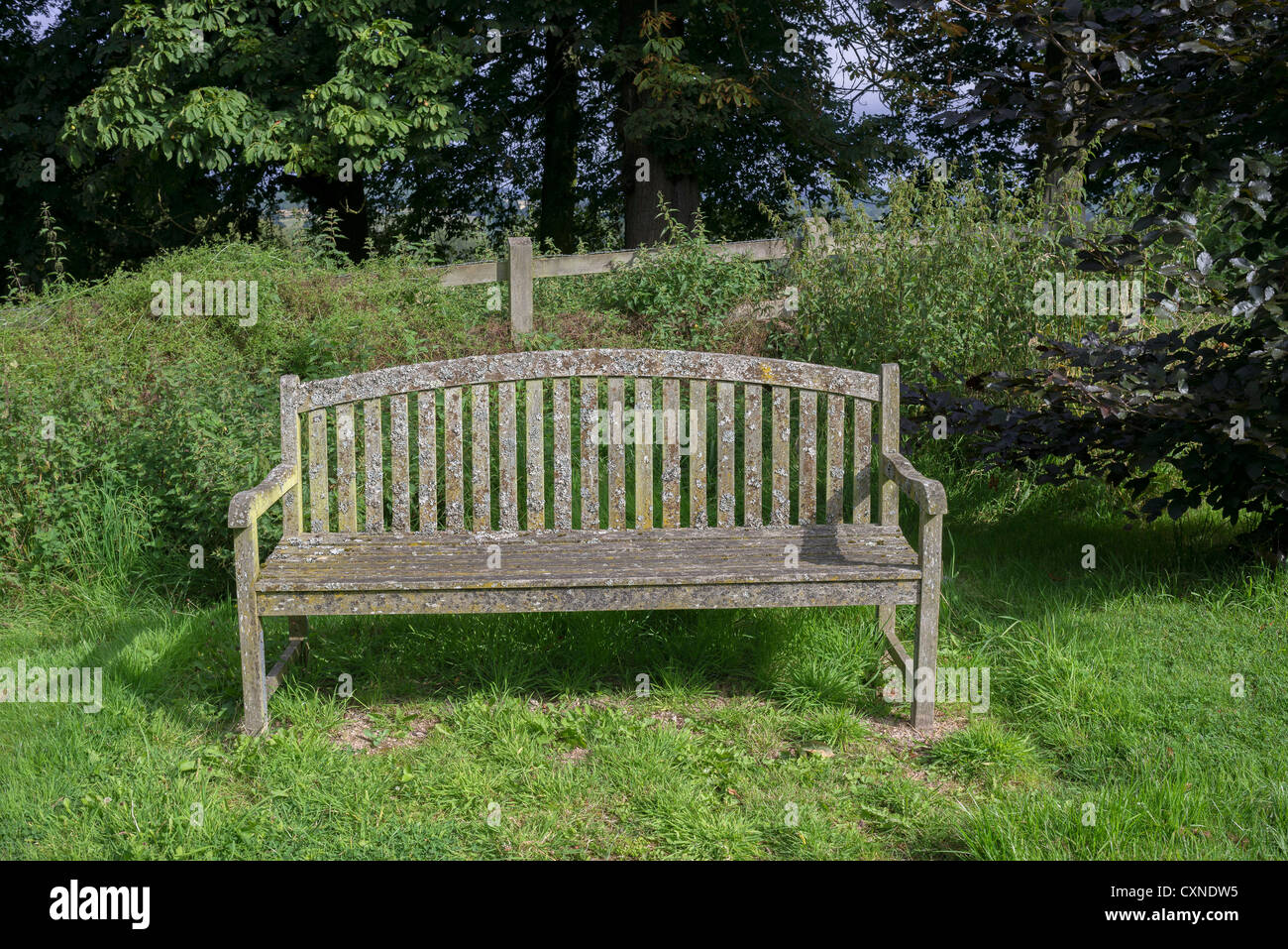 a bench in a country garden Stock Photo - Alamy