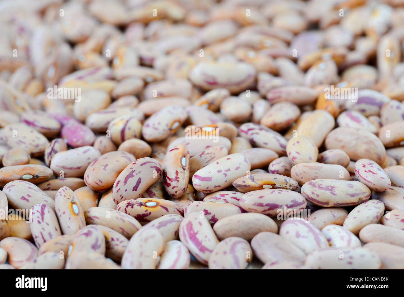 Close-up dry white beans on natural light Stock Photo - Alamy