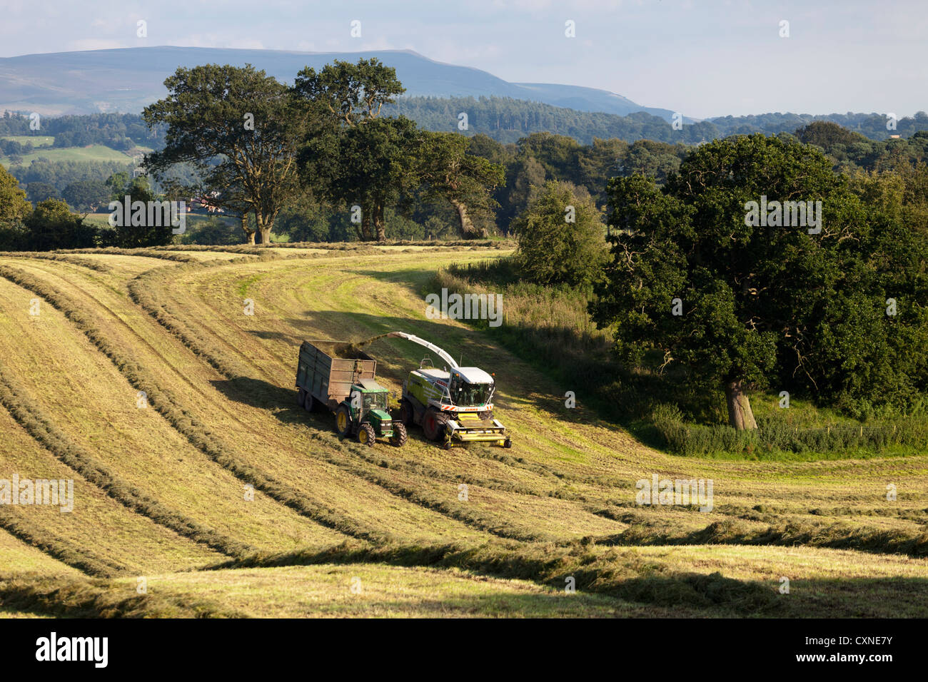 Silage making hi-res stock photography and images - Alamy