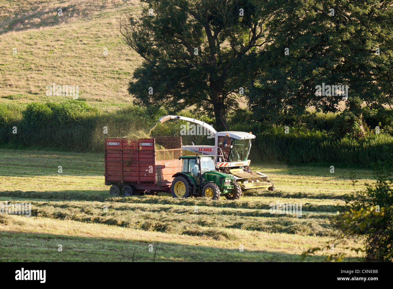 Silage making hi-res stock photography and images - Alamy
