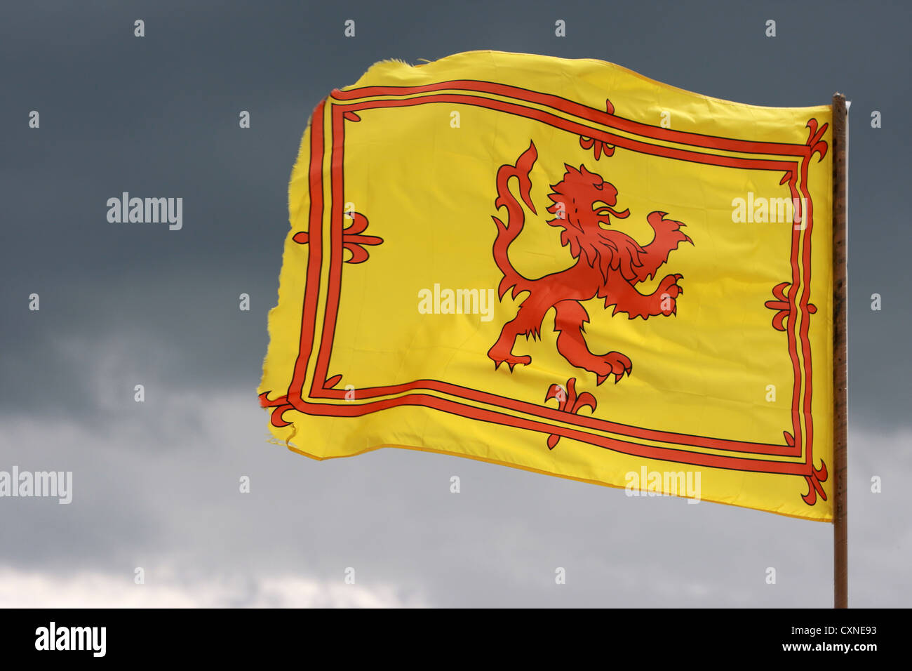 Rampant Lion Scotland Flag Stock Photo - Alamy