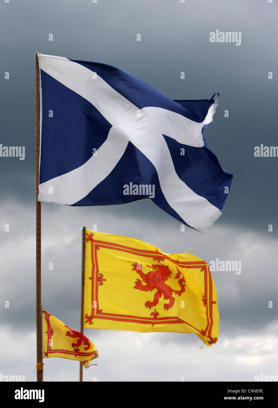 Scotland flag hi-res stock photography and images - Alamy