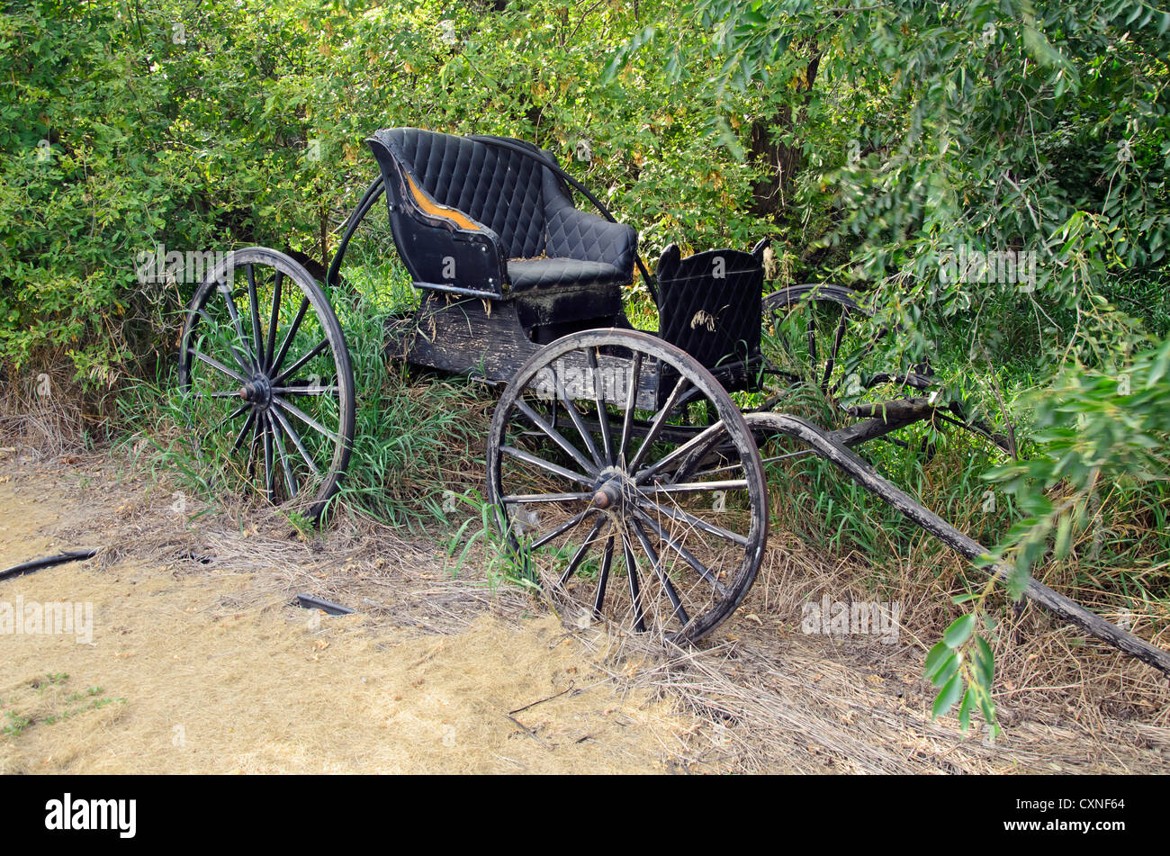 Old Vintage Buggy Stock Photo - Alamy
