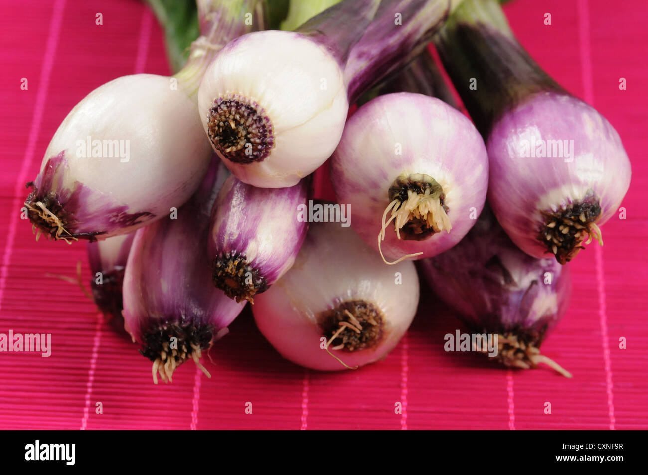 Red onion bunches hi-res stock photography and images - Alamy