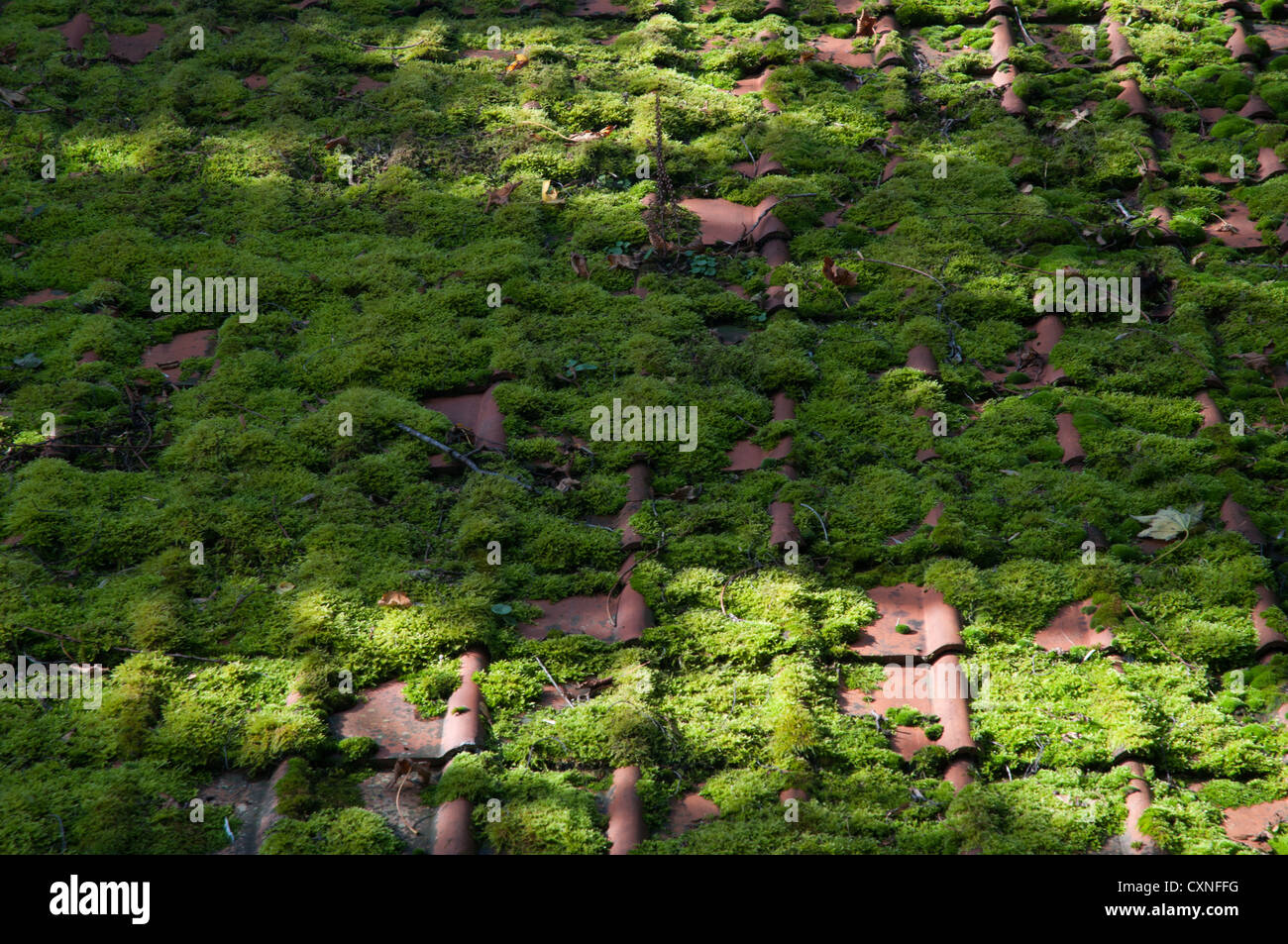 Roof shadows shadow hi-res stock photography and images - Alamy