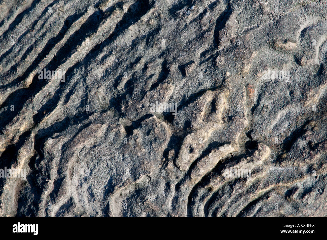 natural stone weather beaten and watet worn close up/abstract Stock ...