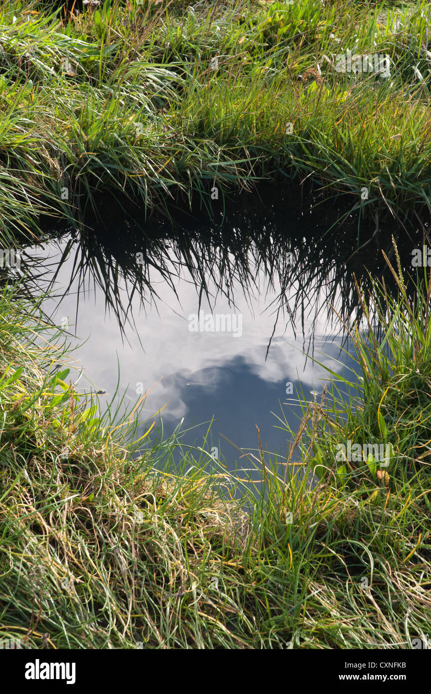 Ponding area hi-res stock photography and images - Alamy