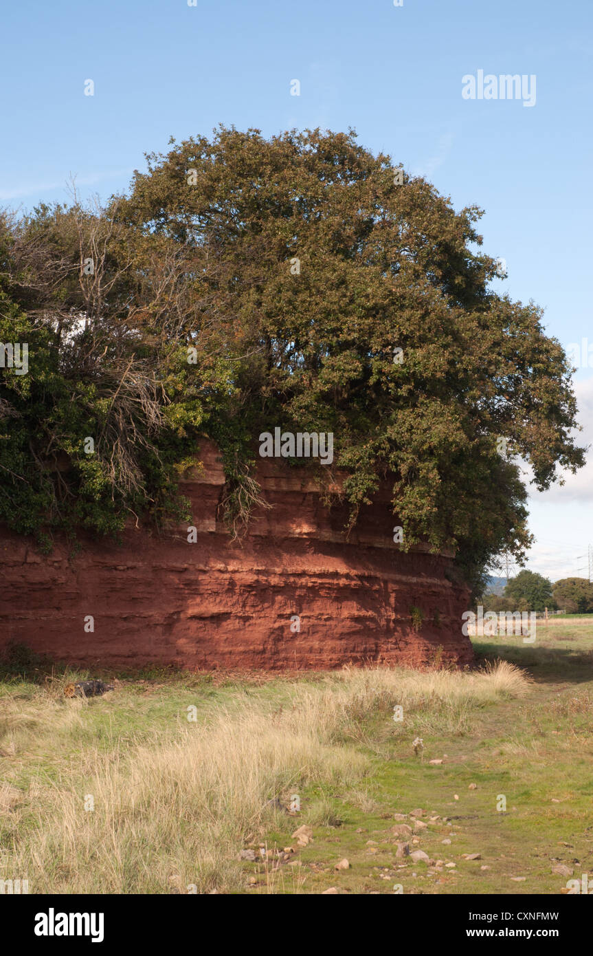 river bank long term erosion, trees, grass, footpath, sunshine blue sky ...