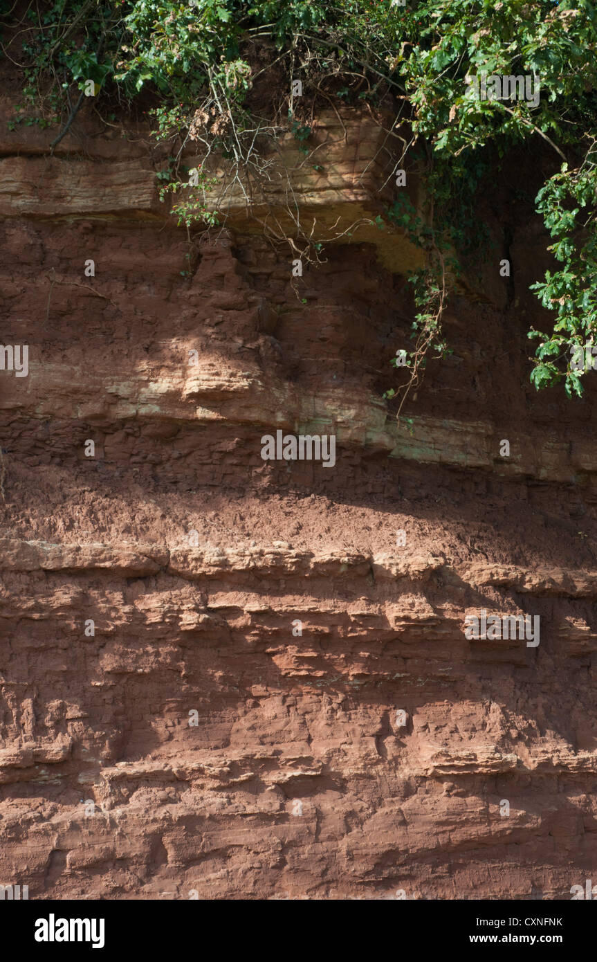 Riverbank erosion hi-res stock photography and images - Alamy