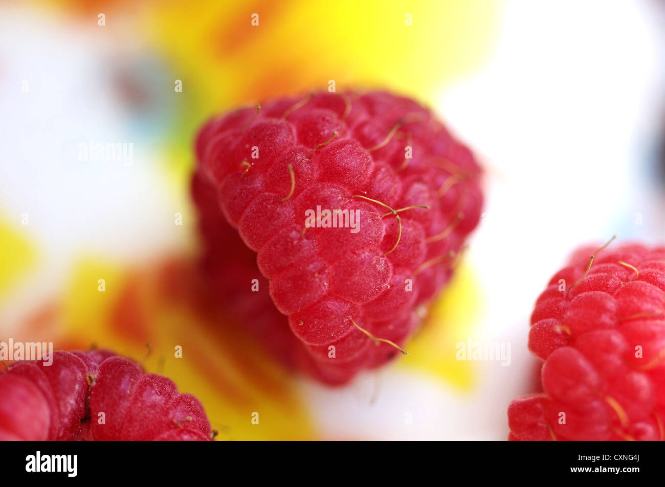 Beautiful raspberry with amazing colors and good light Stock Photo - Alamy